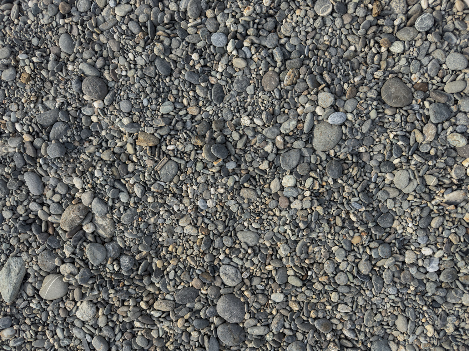 Small Smooth Pebbles Background, Natural Stone Texture – RocknRoller ...